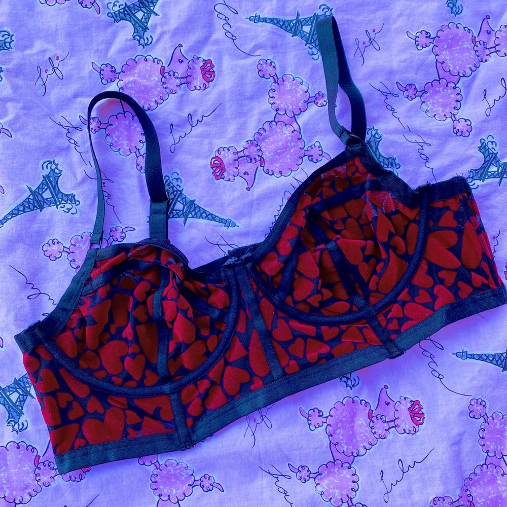 Mesh Black And Red Velvet Hearts Bra - Gem